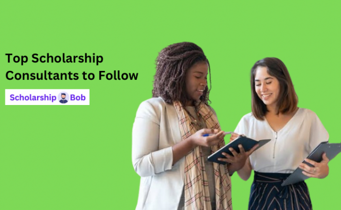 Scholarship Consultants for Graduate and Undergraduate Studies ...